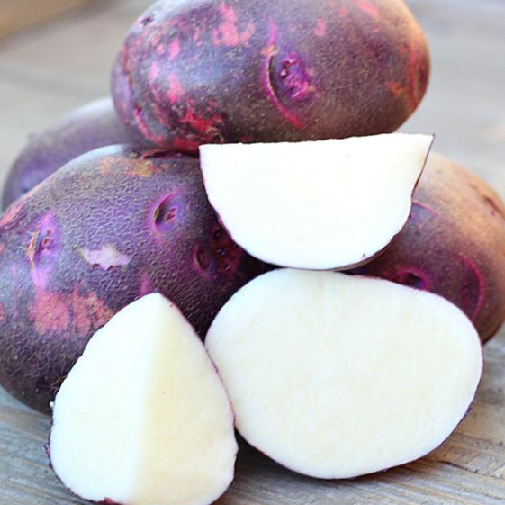 Purple Viking Seed Potatoes, Idaho Certified, 1 lb. – Southern Idaho ...