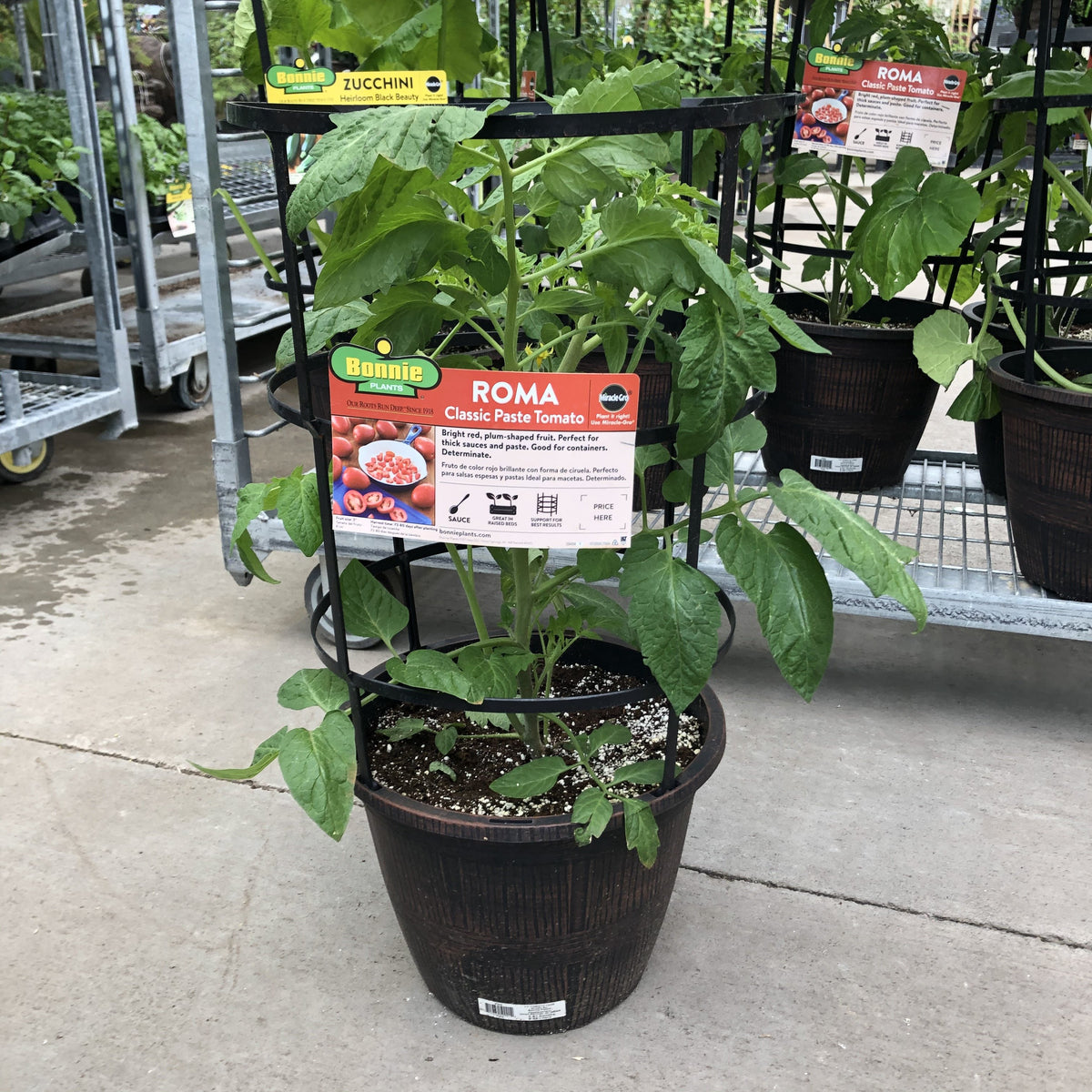 Roma Tomato Patio Cage – Southern Idaho Landscape Center