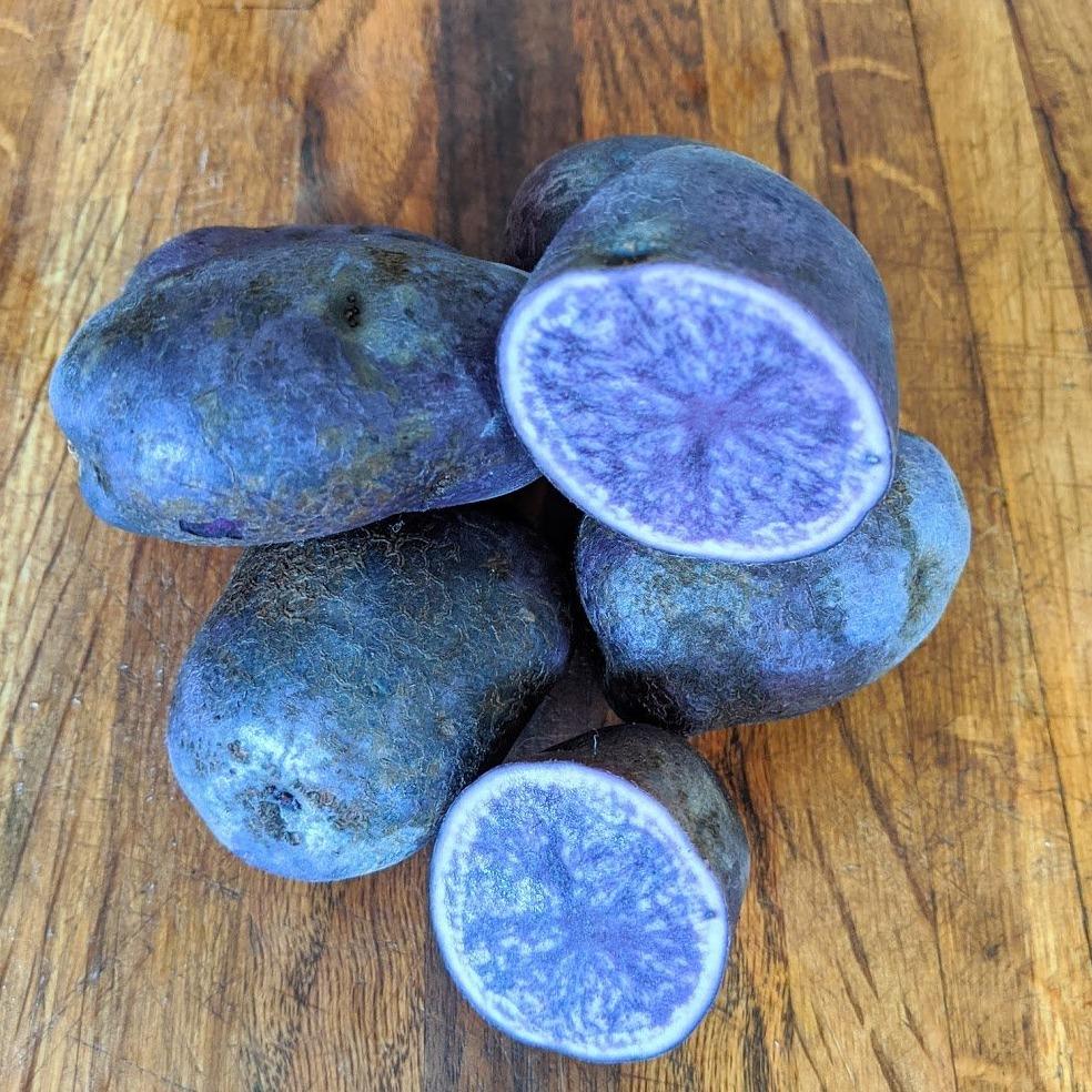 All Blue Seed Potatoes, Idaho Certified, 1 lb. – Southern Idaho ...