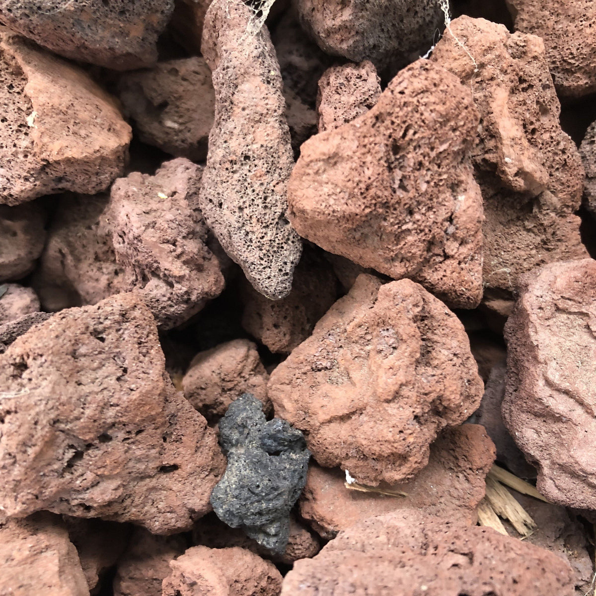 Lava Rock Landscaping Bulk Near Me